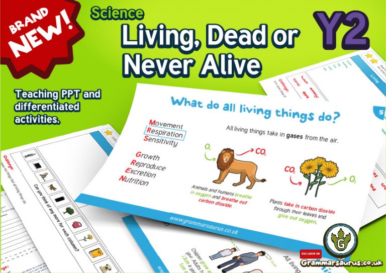 Year 2 Science - Living Things and their Habitats - Living, Dead or ...