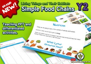 Year 2 Science - Living Things and their Habitats - Simple Food Chains ...
