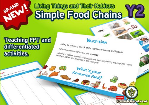 Year 2 Science - Living Things and their Habitats - Simple Food Chains ...