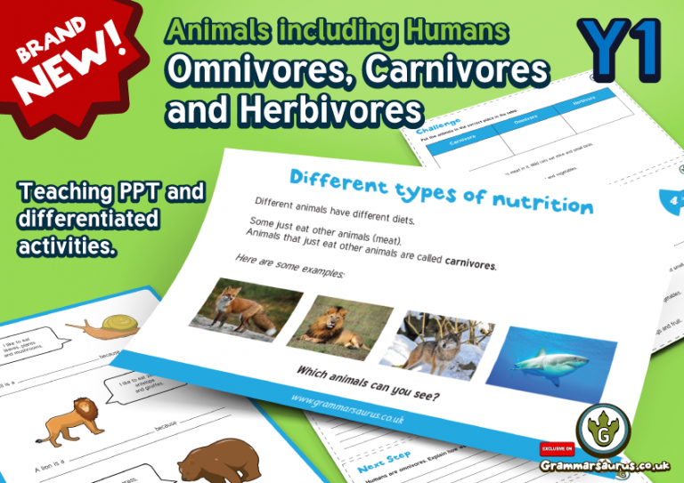 Year 1 Science - Animals including Humans - Herbivore, Omnivore ...