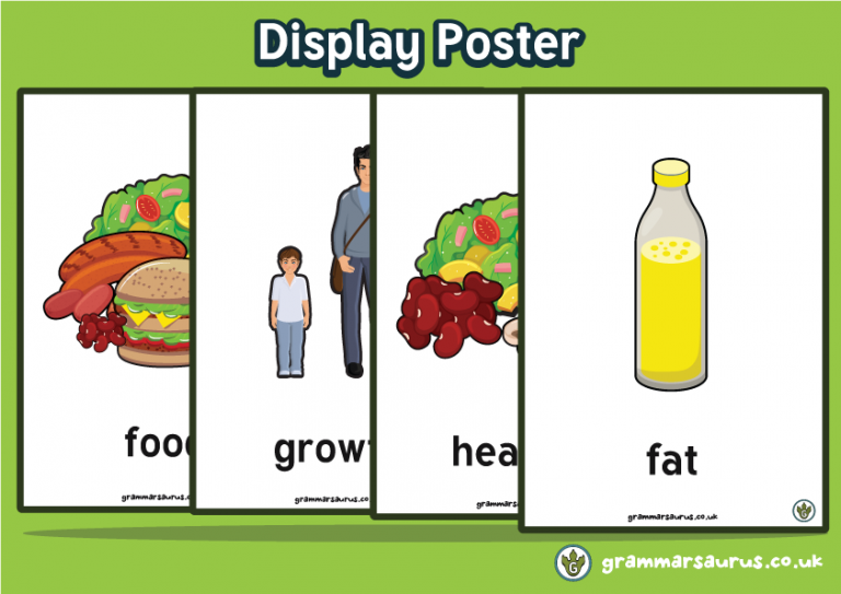 Science - Animals including Humans - Nutrition Display Poster ...