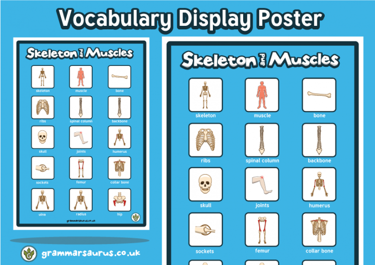 Science - Animals including Humans - Skeleton And Muscles - Vocabulary ...