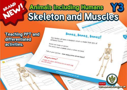 Year 3 Animals including Humans - Grammarsaurus