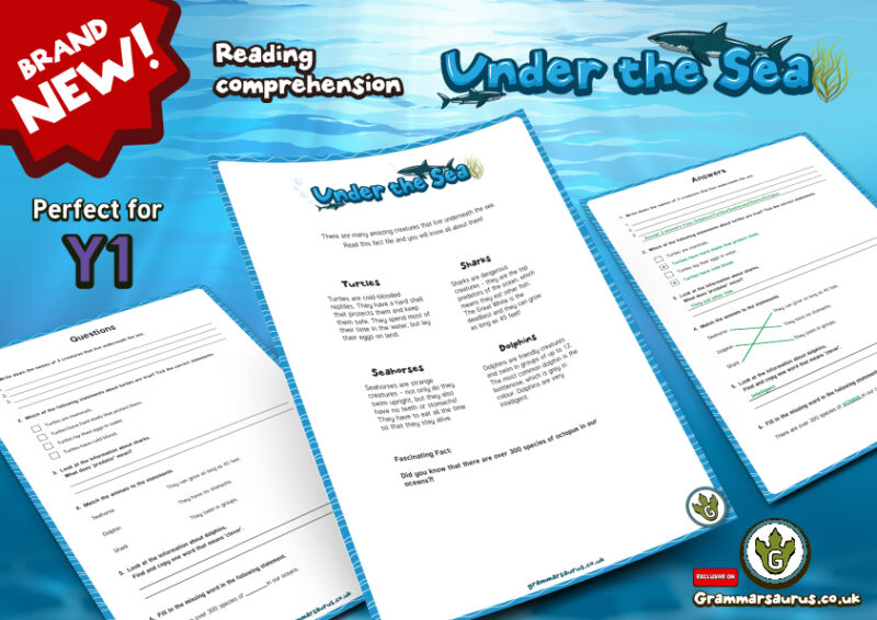 Website Ad (8) - Grammarsaurus