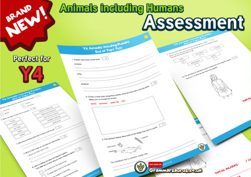 Year 4 Science - Animals including Humans - Assessment Pack - Grammarsaurus