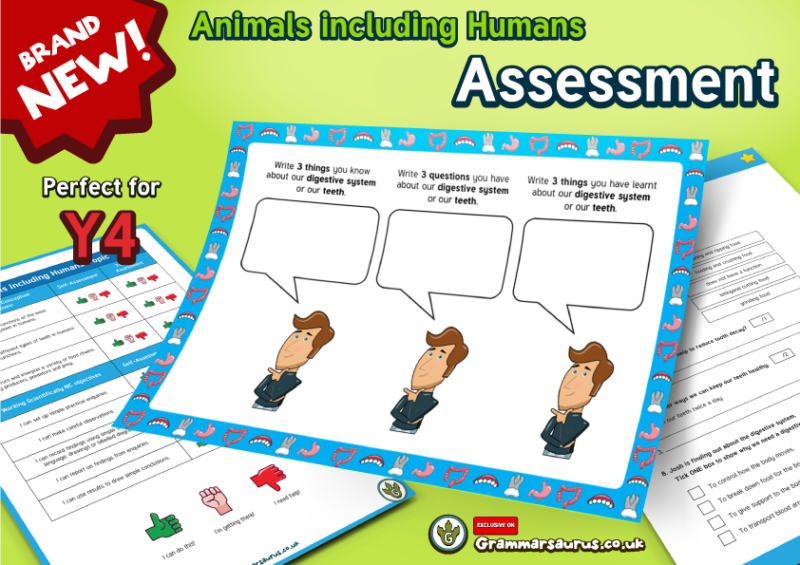 Assessment-Ad - Grammarsaurus