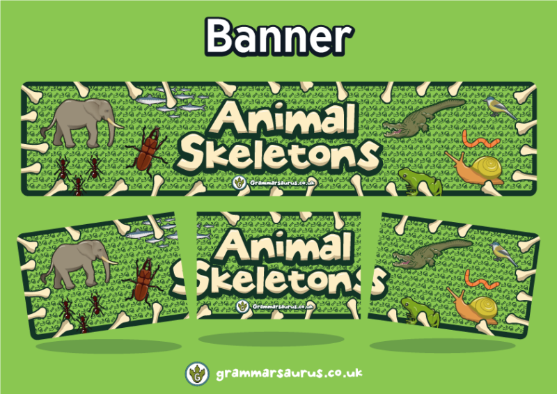 Science - Animals including Humans - Banner - Grammarsaurus