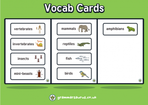 Science - Animals including Humans - Vocabulary Cards - Grammarsaurus