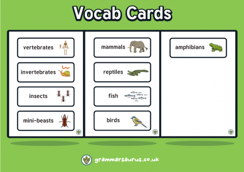 Science - Animals including Humans - Vocabulary Cards - Grammarsaurus