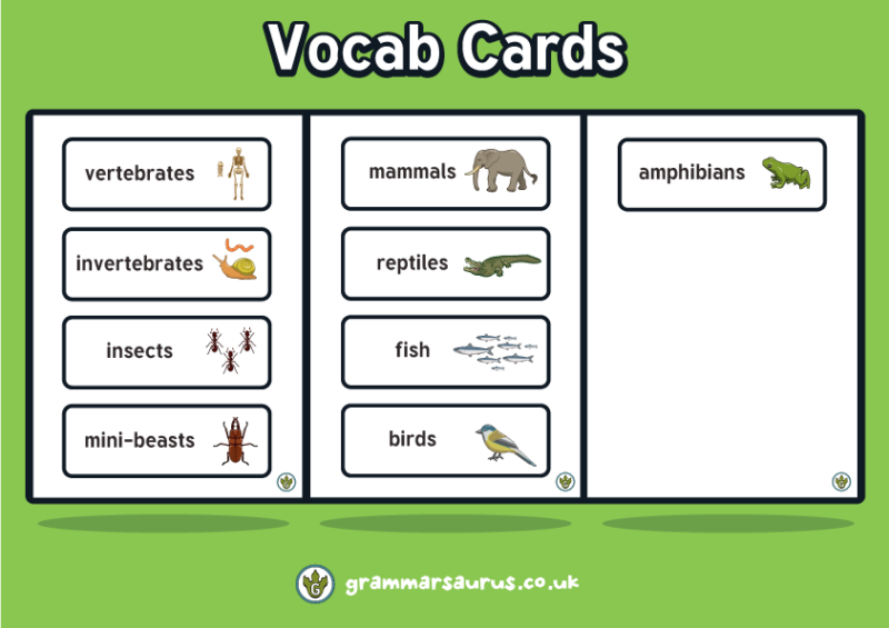 Science - Animals including Humans - Vocabulary Cards - Grammarsaurus