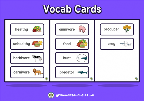 Vocab-Cards-Ad (6) - Grammarsaurus