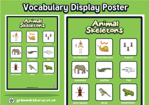 Science Display Resources - Grammarsaurus