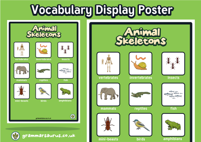 Science - Animals including Humans - Display Vocabulary Poster ...