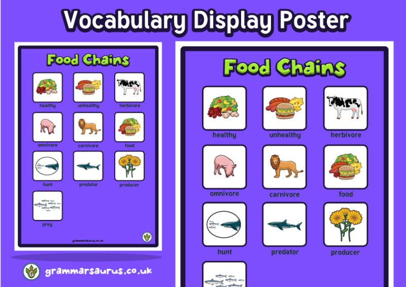 Science - Animals Including Humans - The Food Chain - Vocabulary ...