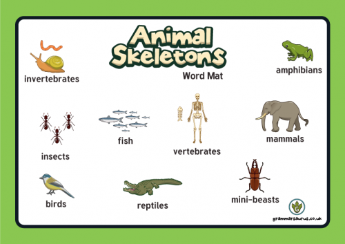 Year 3 Animals including Humans - Grammarsaurus