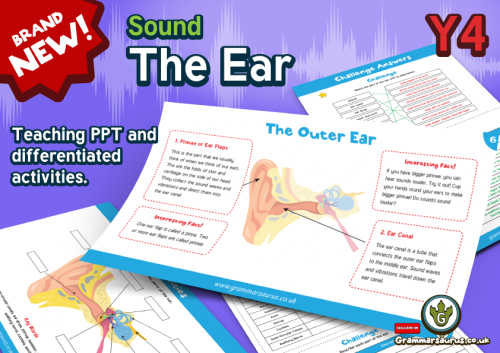 Year 4 Science - Sound - The Ear - Lesson 3 - Grammarsaurus