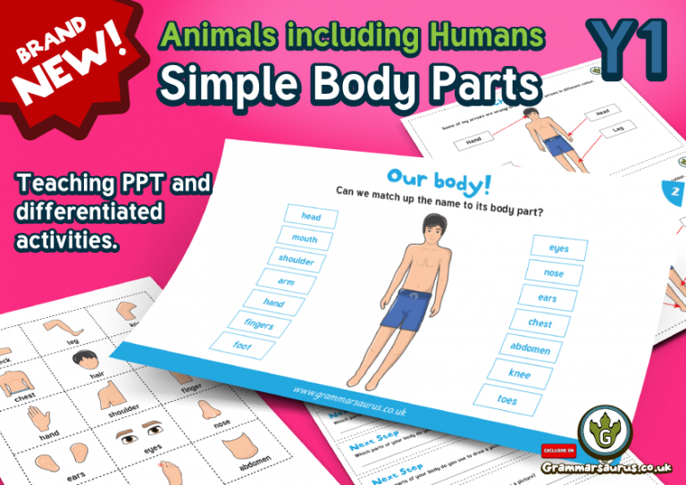 Year 1 Science - Animals including Humans - Basic Parts of the Human ...