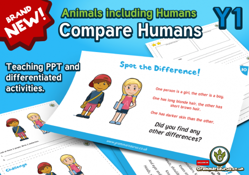 Year 1 Science - Animals including Humans - Compare Humans - Lesson 6 ...