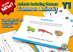 Year 1 Science - Animals including Humans - Common Animals - Lesson 1 ...