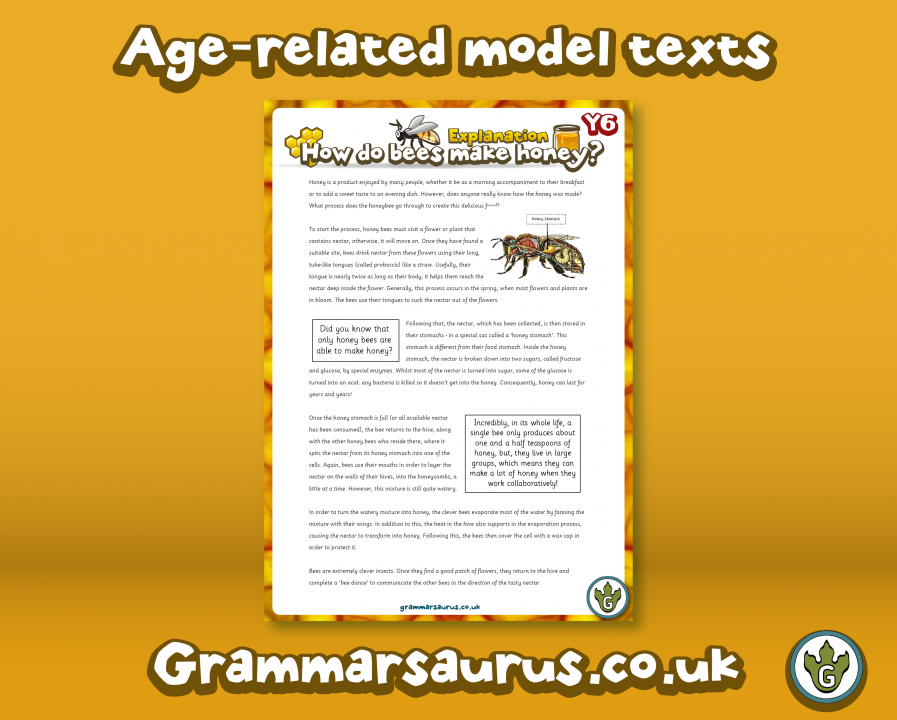 Year 6 Model Text - Explanation - How do bees make honey? ( gbsct P6 ...