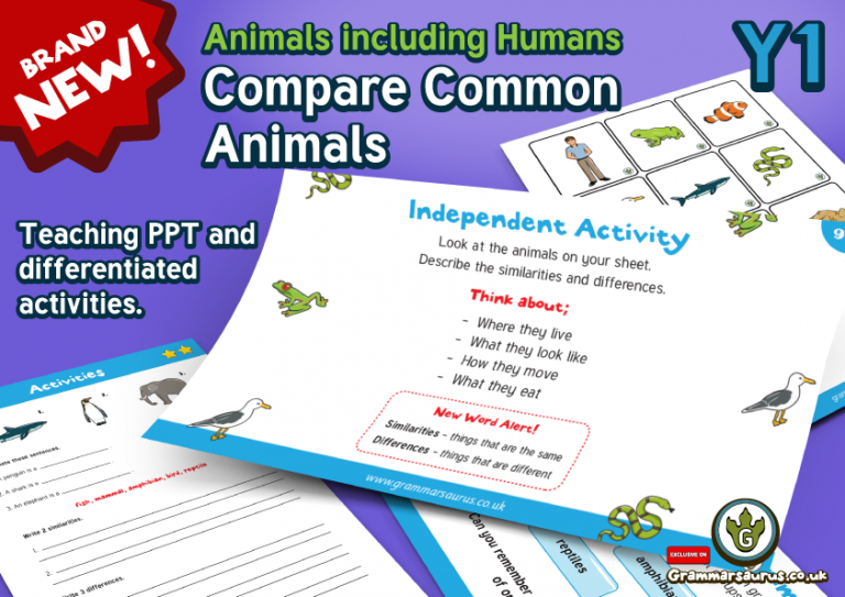 Year 1 Science - Animals including Humans - Describe and Compare ...