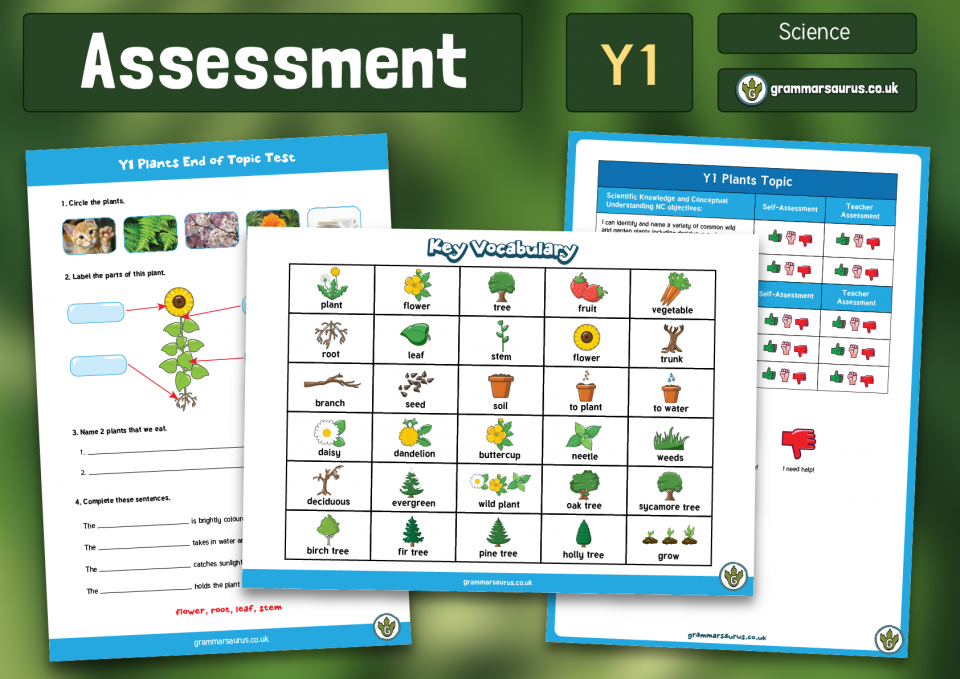 Year 1 Science - Plants - Assessment Pack - Grammarsaurus