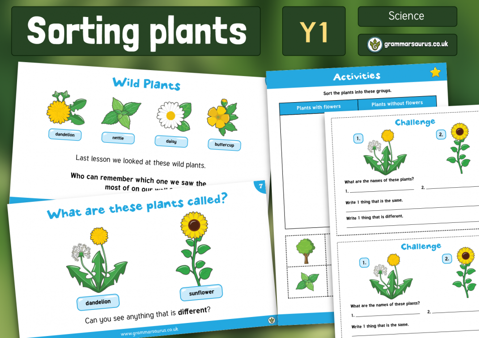 Year 1 Science - Plants - Sorting Plants - Lesson 5 - Grammarsaurus