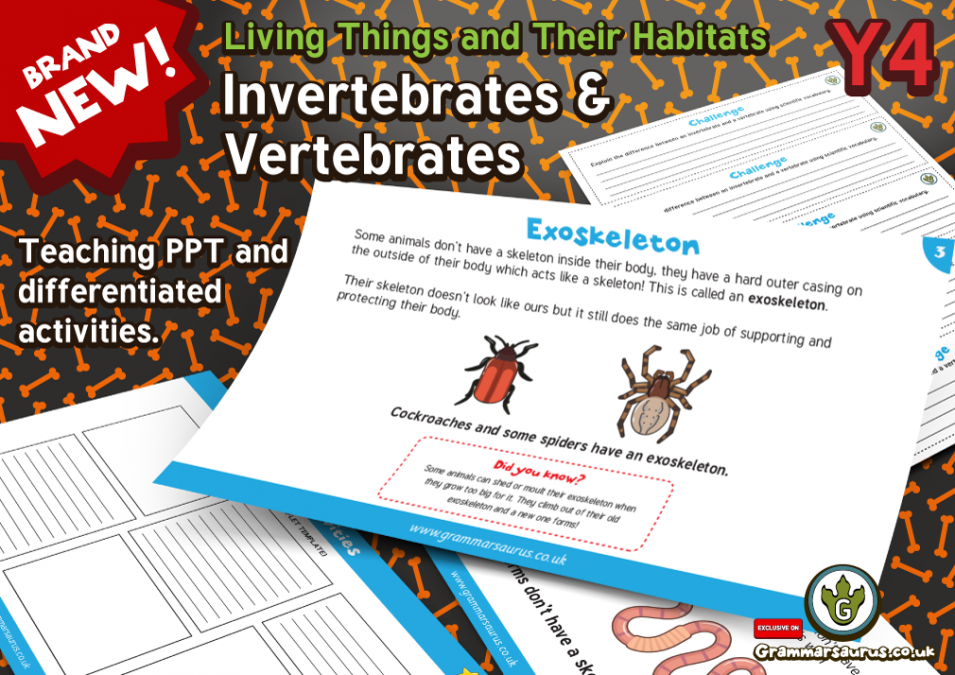 Year 4 Science - Living Things and their Habitats - Vertebrates and ...