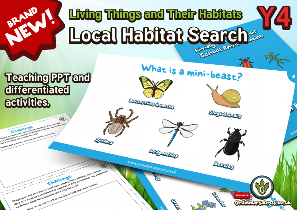 Year 4 Science - Living Things and their Habitats - Local Habitat ...