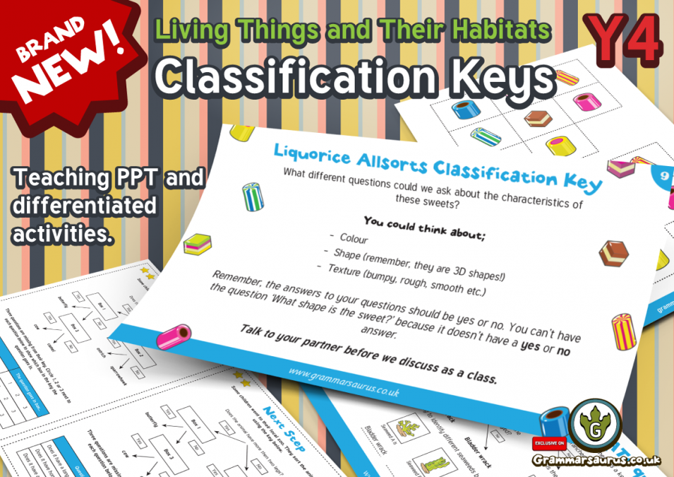 Year 4 Science - Living Things and their Habitats - Classification Keys ...