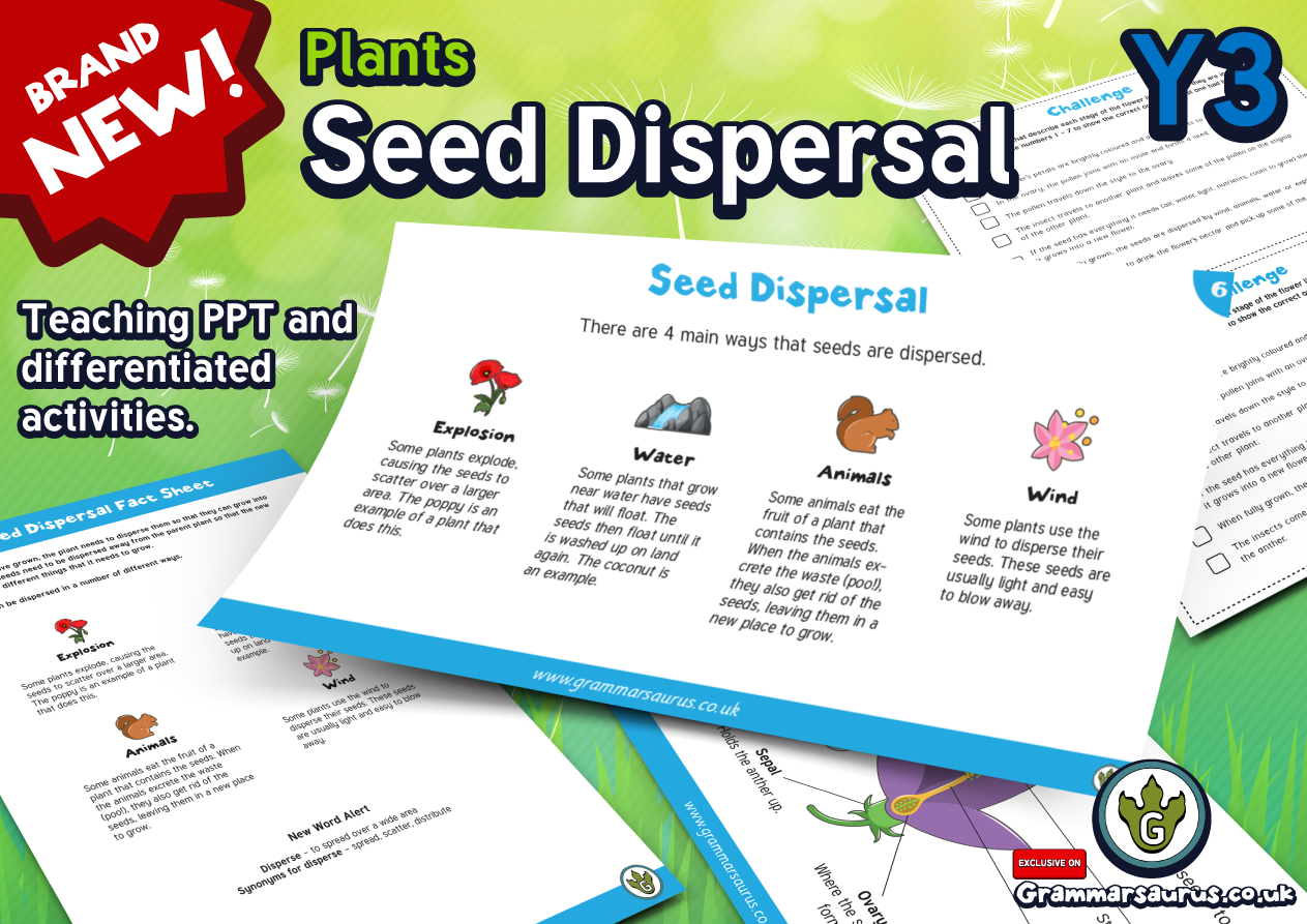 Year 3 Science - Plants - Seed Dispersal - Lesson 6 - Grammarsaurus