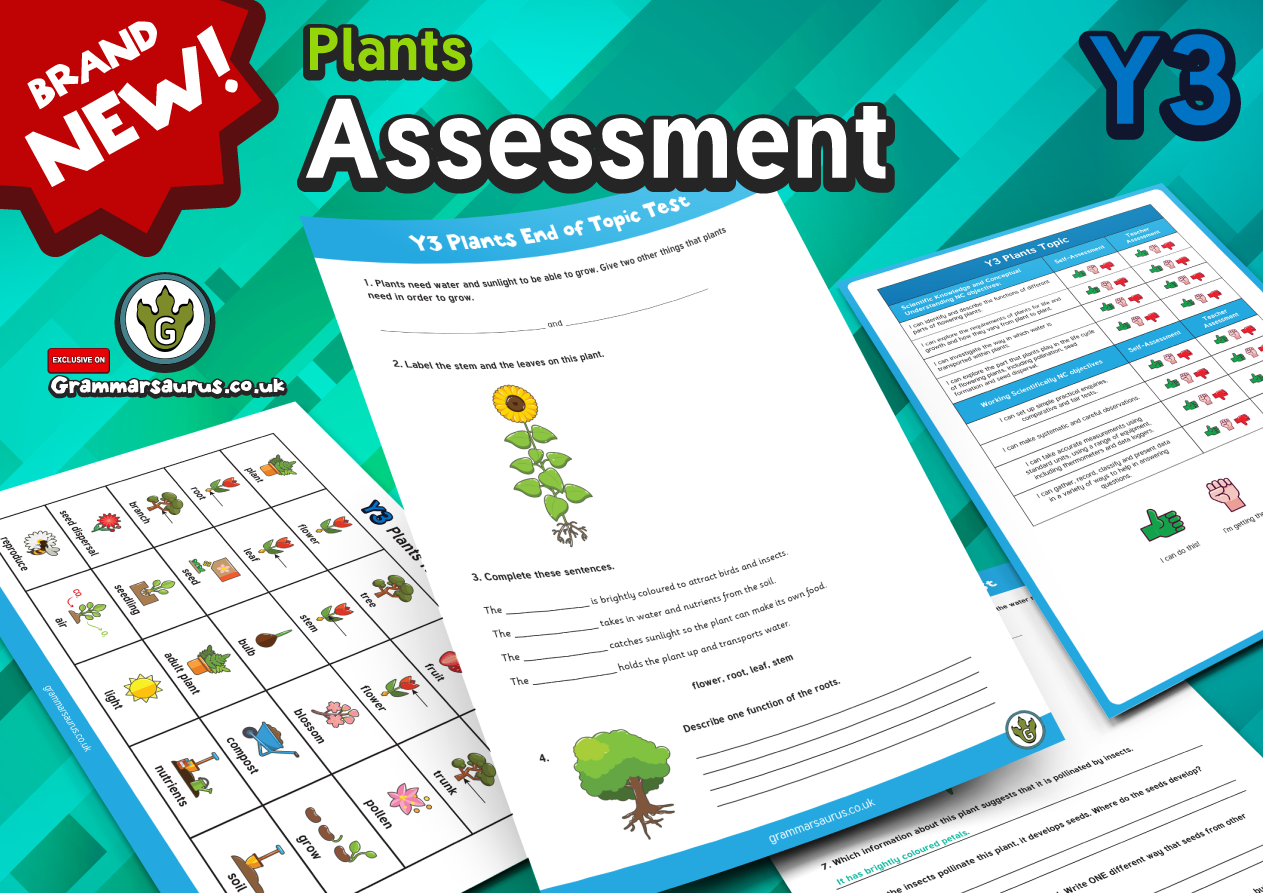 Year 3 Science - Plants - Assessment Pack - Grammarsaurus
