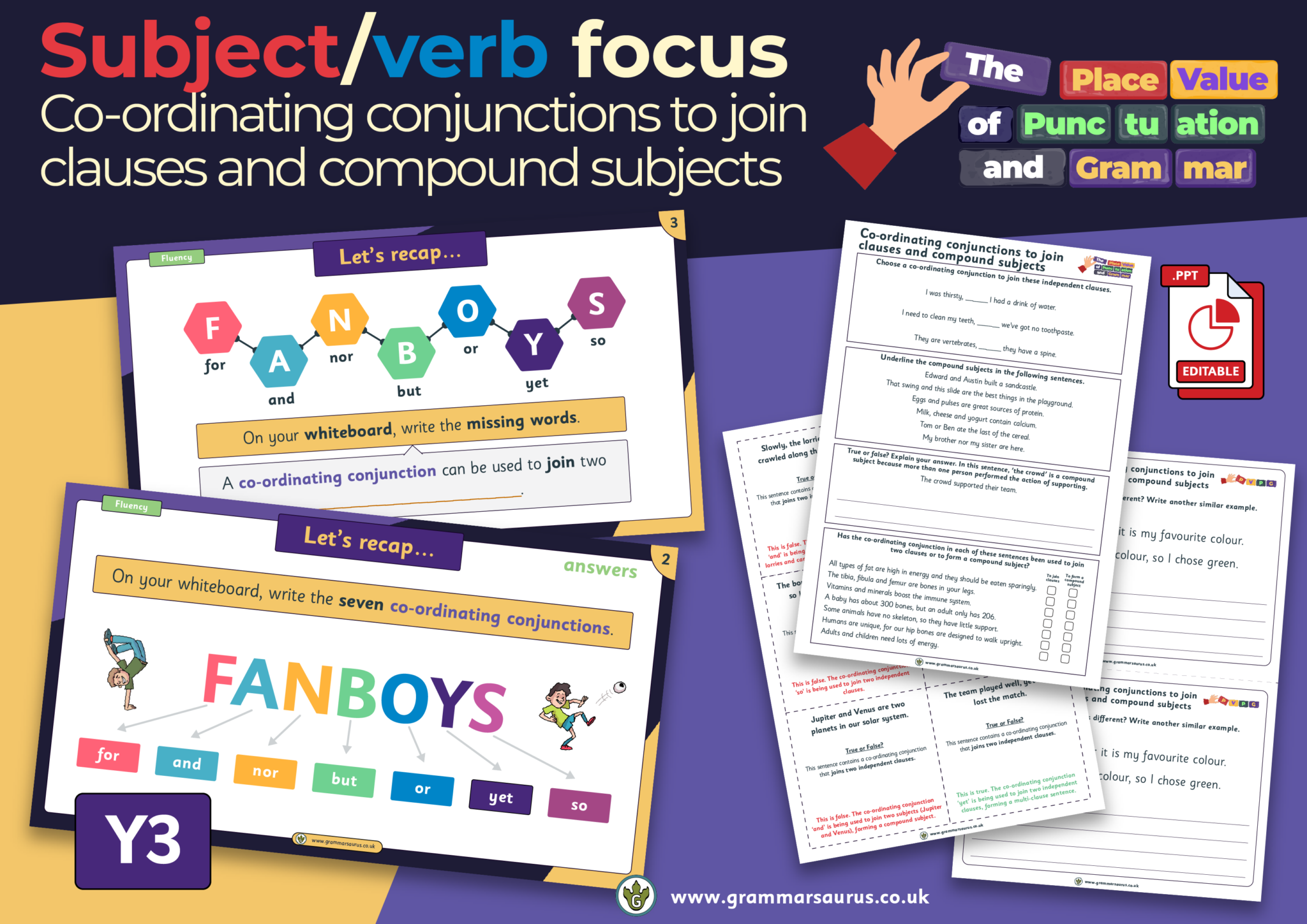 Year 3 Place Value of Punctuation and Grammar - Subject/verb focus - Co ...