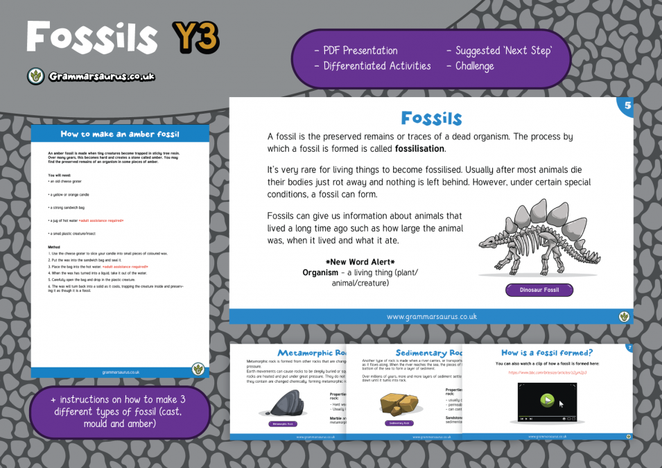 Year 3 Science - Rocks and Soils - Fossils - Lesson 6 - Grammarsaurus