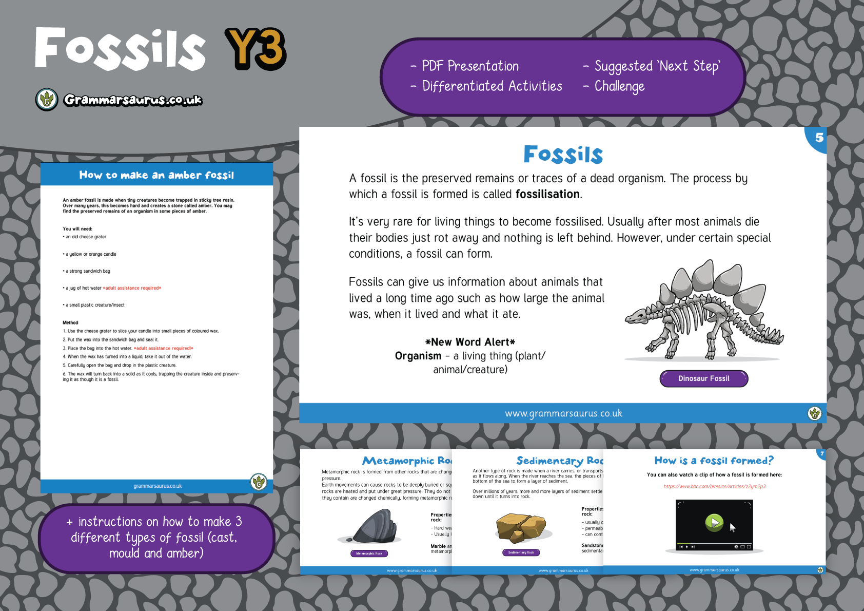 Year 3 Science - Rocks and Soils - Fossils - Lesson 6 - Grammarsaurus