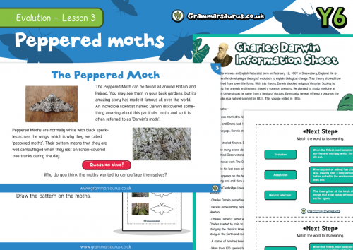Year 6 Science - Evolution - Natural Selection - Lesson 3 - Grammarsaurus