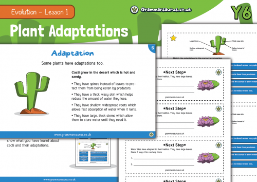 Year 6 Science - Evolution - Plant Adaptation - Lesson 1 - Grammarsaurus
