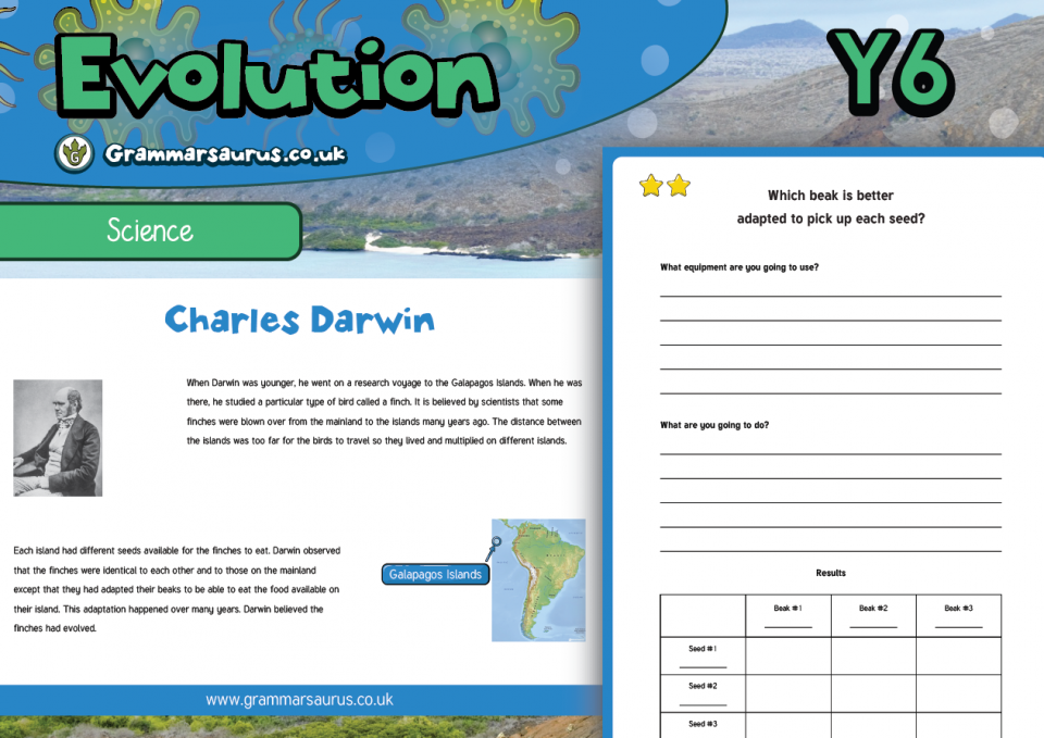Year 6 Science - Evolution - Charles Darwin - Lesson 4 - Grammarsaurus