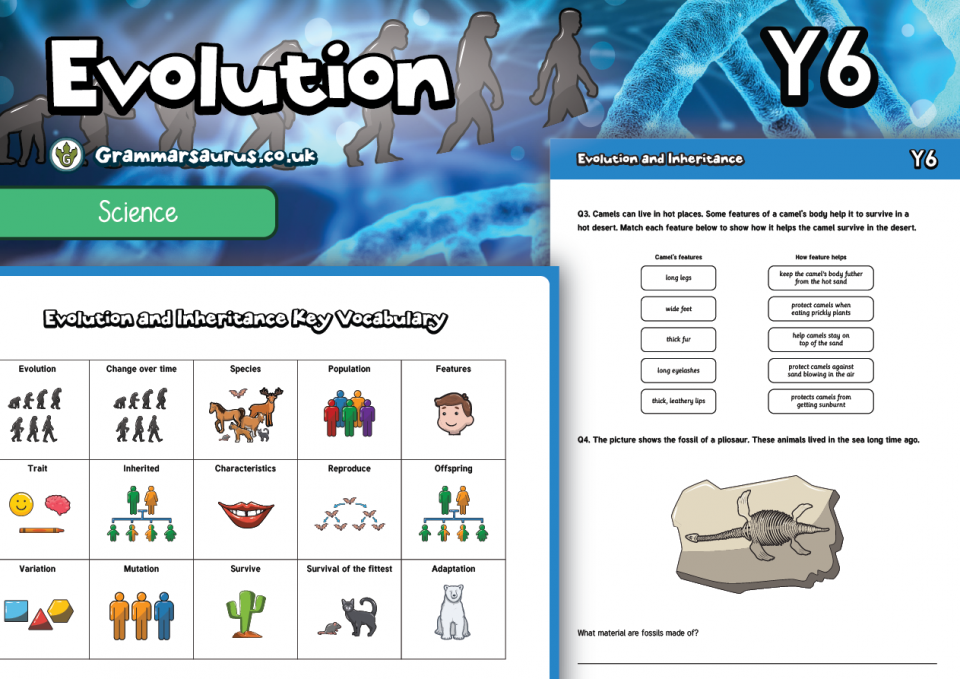 Year 6 Science - Evolution - Assessment Pack - Grammarsaurus