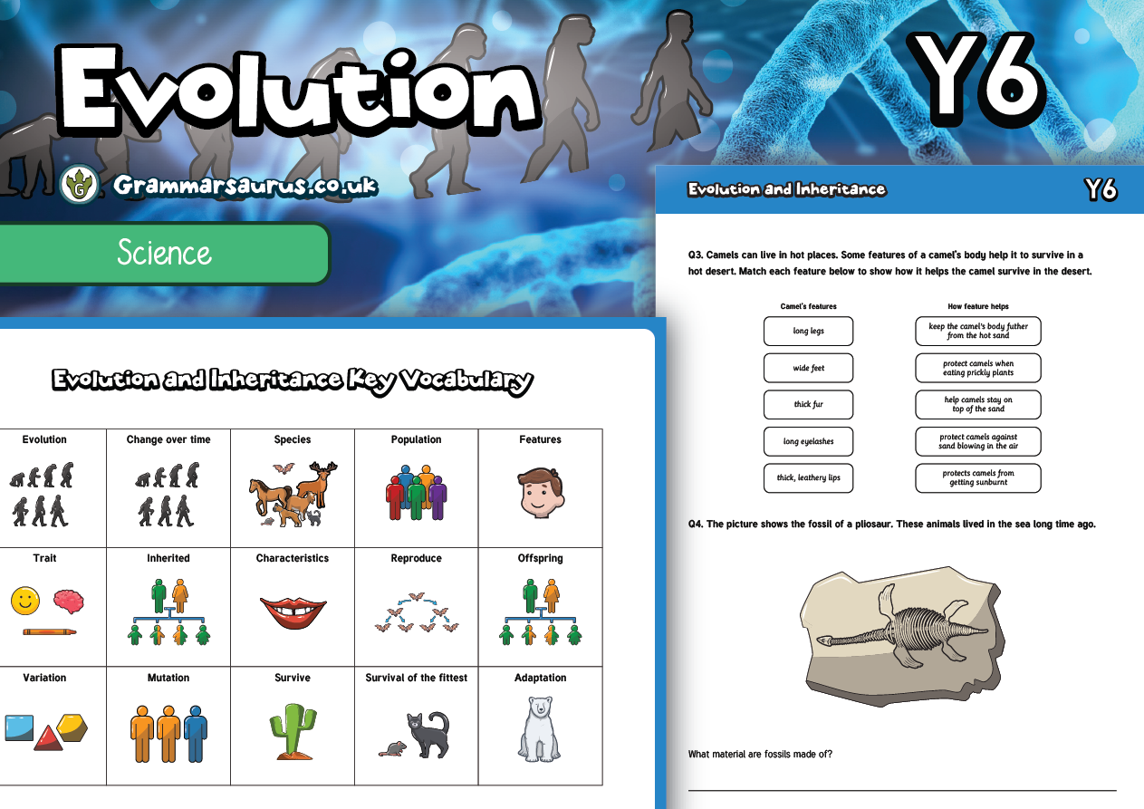 Year 6 Science - Evolution - Assessment Pack - Grammarsaurus