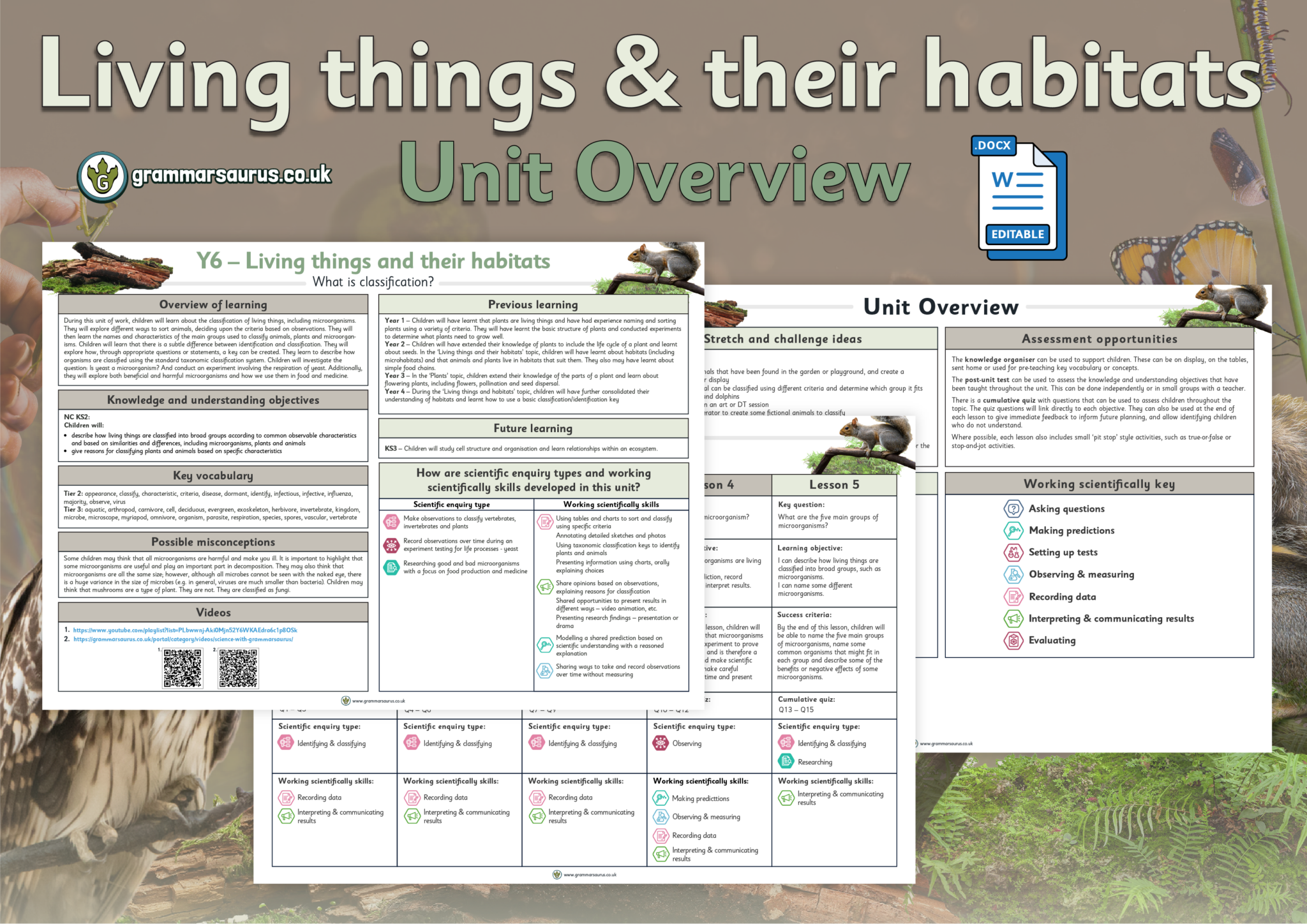 Year 6 Science - Living things and their habitat - Unit Overview - Grammarsaurus