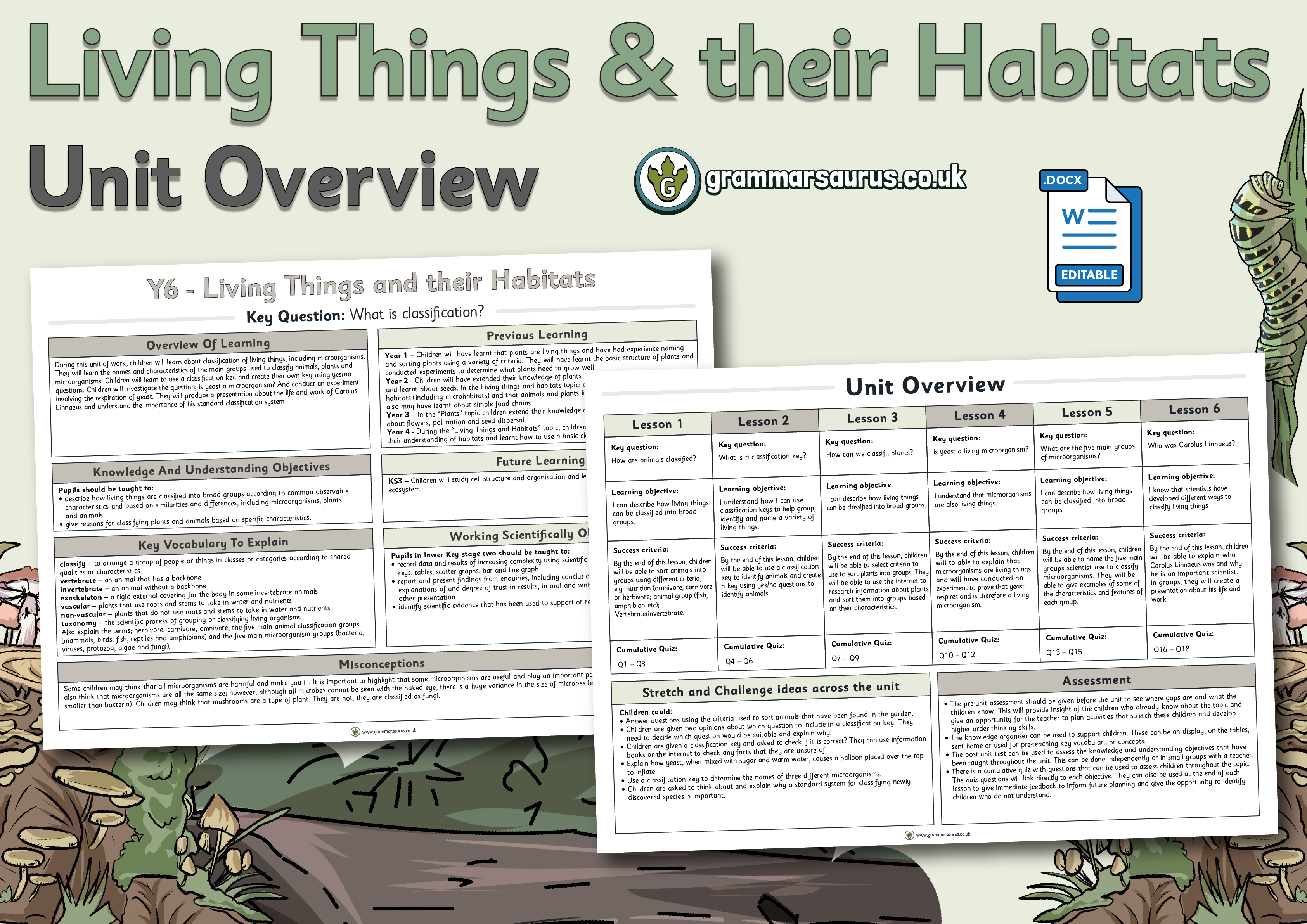Year 6 Science - Living things and their habitat - Unit Overview - Grammarsaurus
