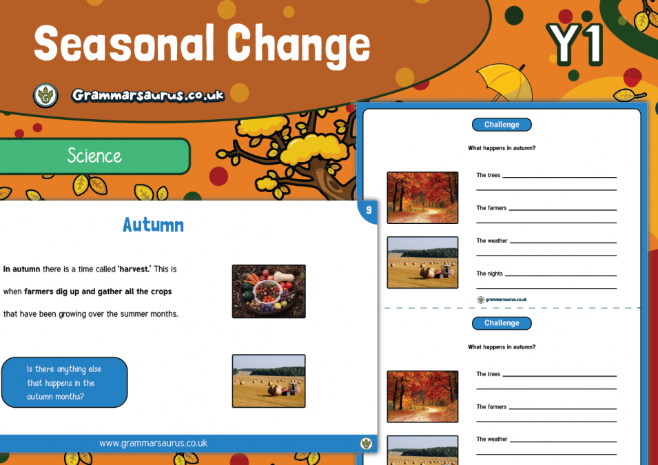 Year 1 Seasonal Changes - Page 2 of 2 - Grammarsaurus