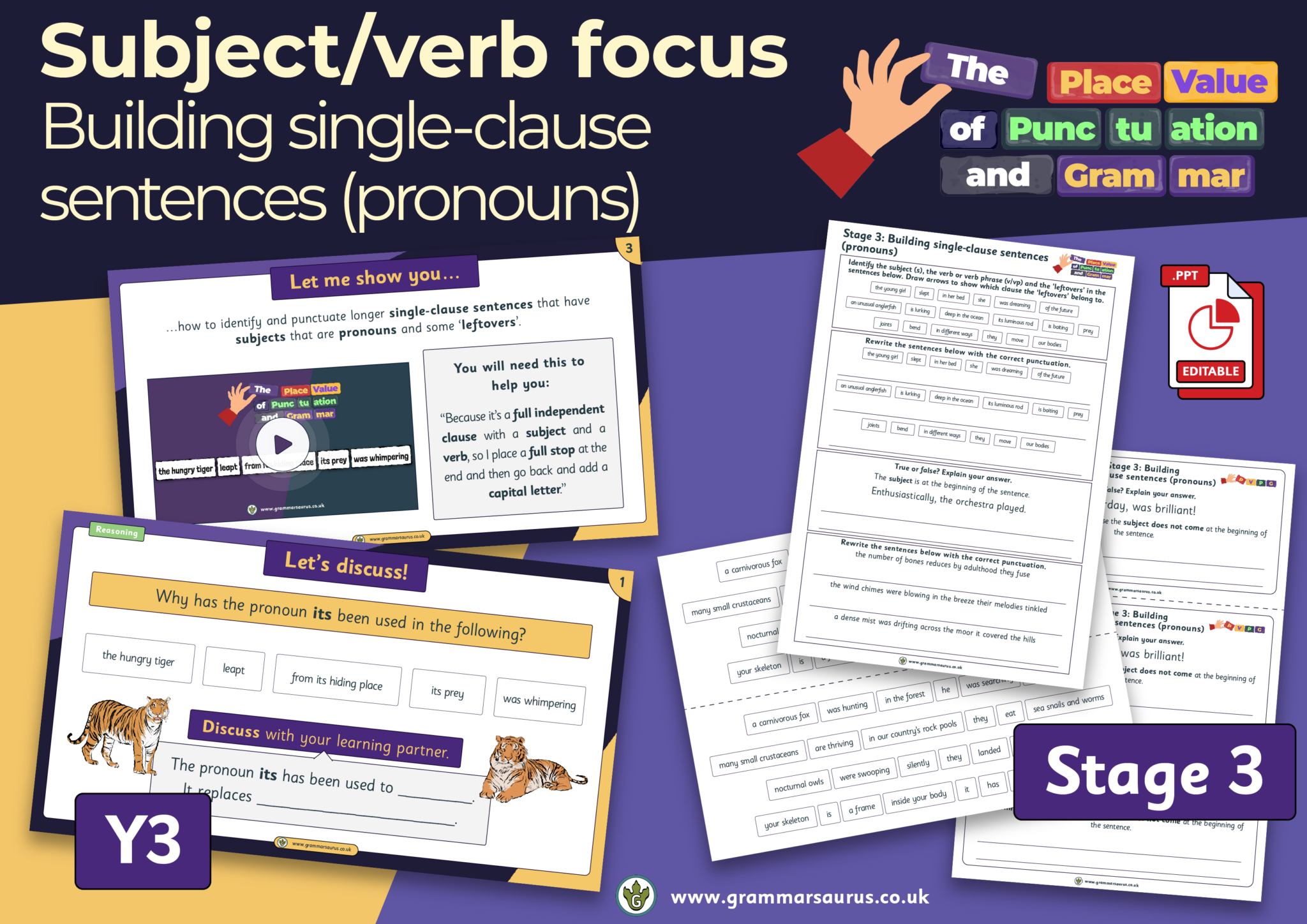 Year 3 Place Value of Punctuation and Grammar - Building single-clause ...
