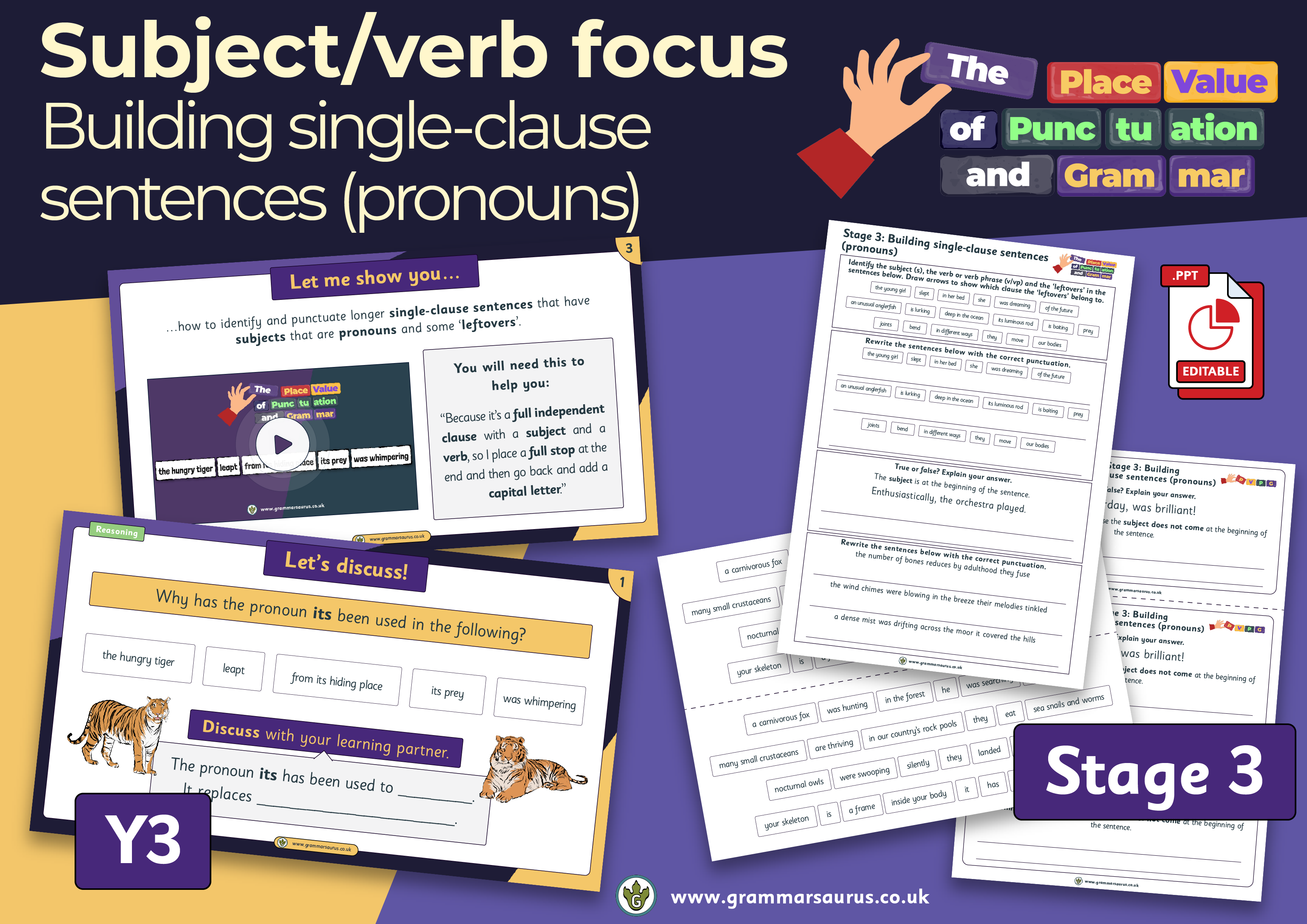 website ad - Grammarsaurus