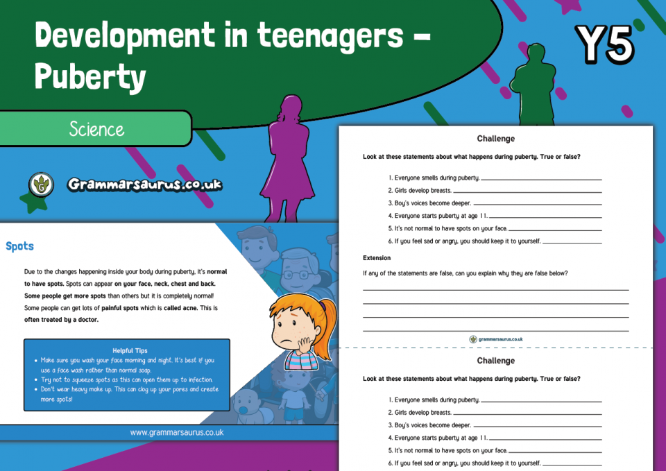 Year 5 Science - Animals including Humans - Puberty - Lesson 3 ...