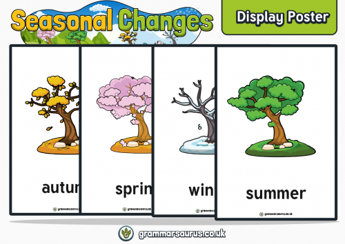 Science - Seasonal Changes - Display Posters - Grammarsaurus
