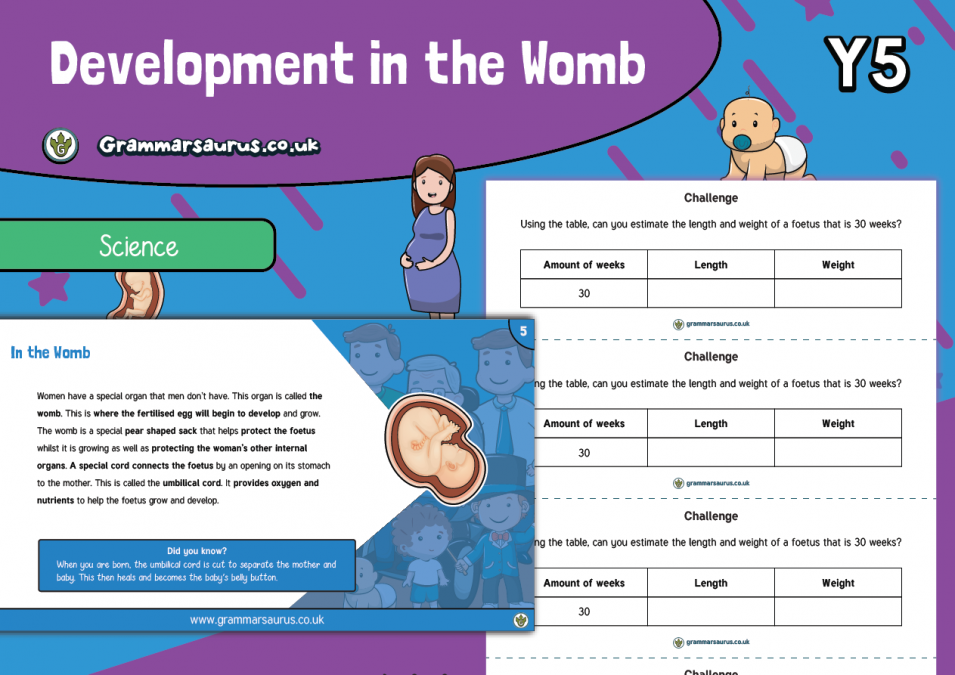 FANBOY Conjunction Definitions Posters - Grammarsaurus
