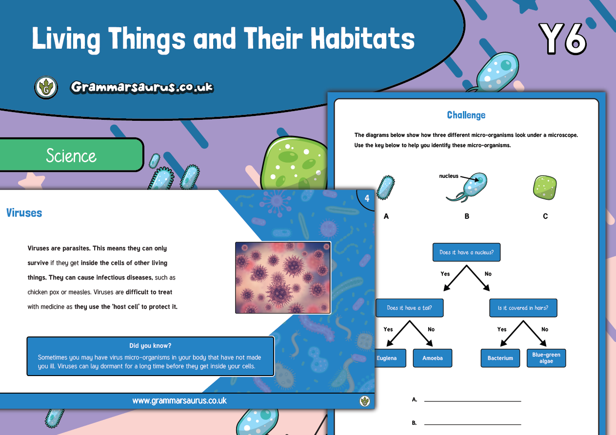 Year 6 Science - Living Things and their Habitats - Classifying Micro-Organisms - Lesson 5 ...
