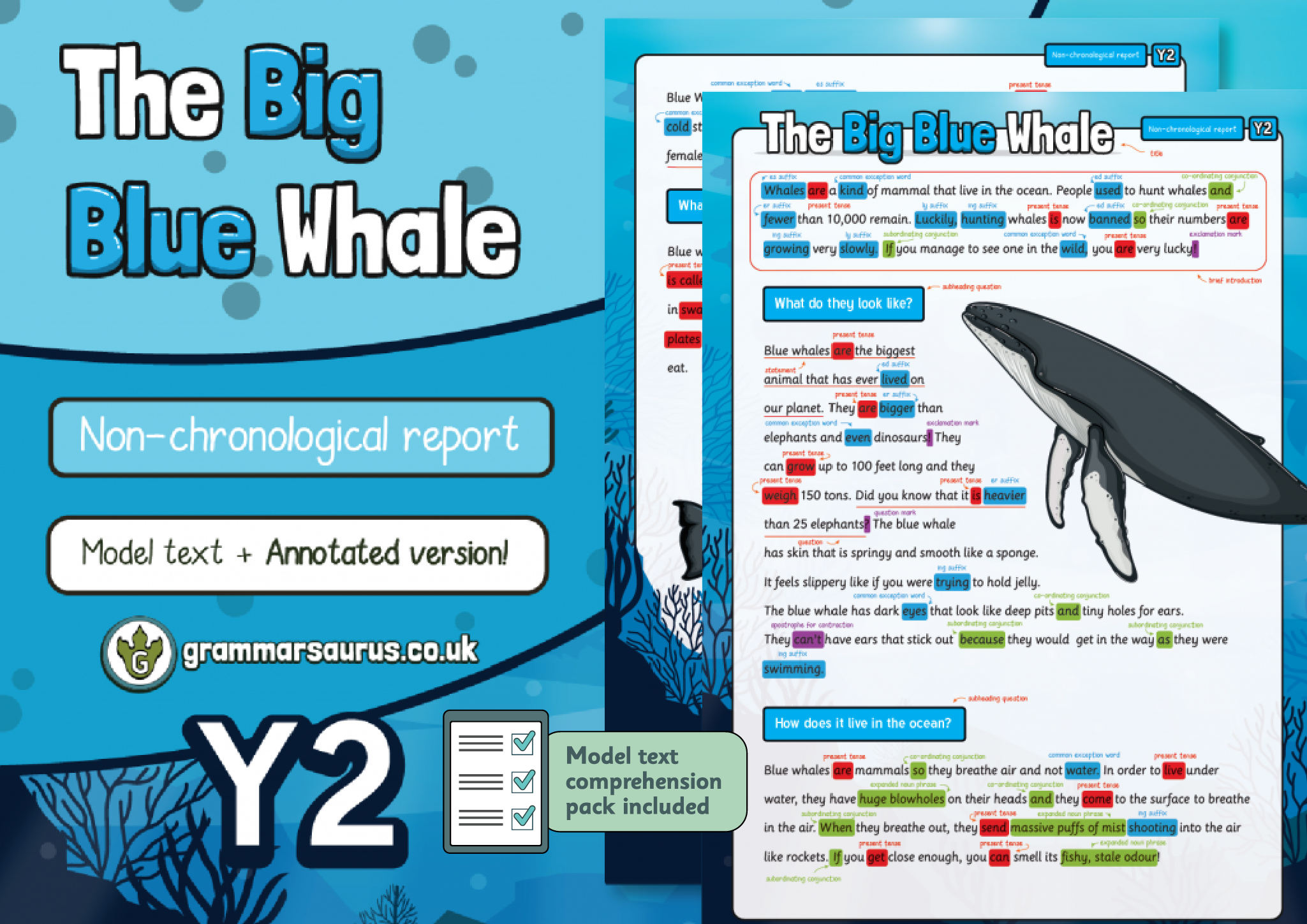 Year 2 Model Text - Non-chronological report - The Big Blue Whale ...